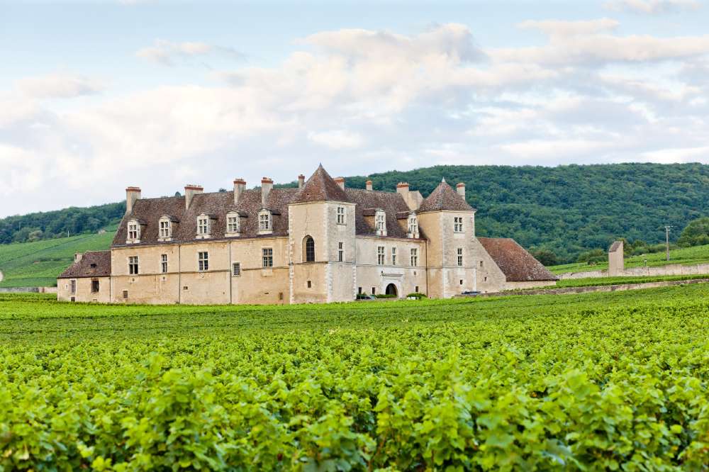 Visite du Château du Clos Vougeot